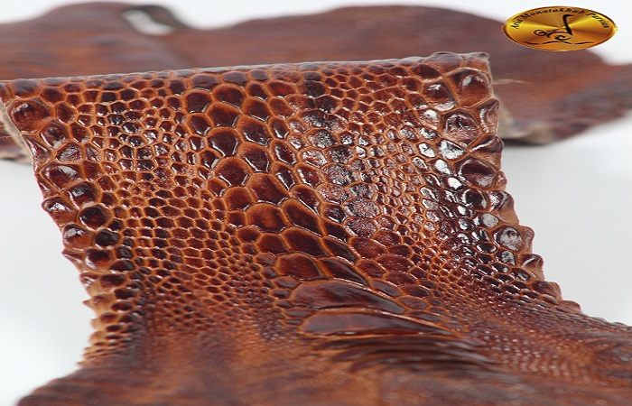 Ostrich Leg Skin: A Guide to Its Uses and Benefits